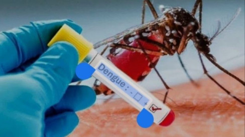 Waspada Bahaya DBD Setelah Banjir, Begini 3 Cara Mudah Pencegahannya!