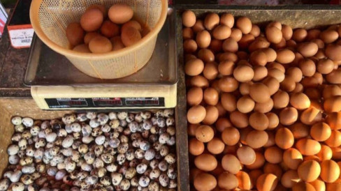 Tembus Rp 31.000 per Kg, Harga Telur Ayam Ras Naik di 175 Kabupaten/Kota