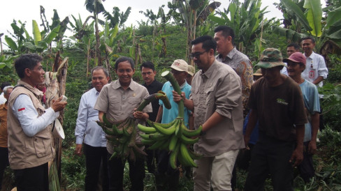 Menteri Kehutanan Sebut Program Makan Bergizi Gratis akan Gunakan ...