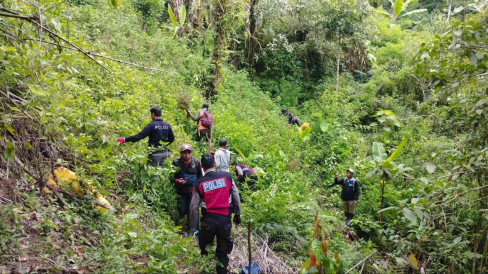 Viral Lagi Ladang Ganja di Taman Nasional Bromo, Dipastikan Kini Sudah ...
