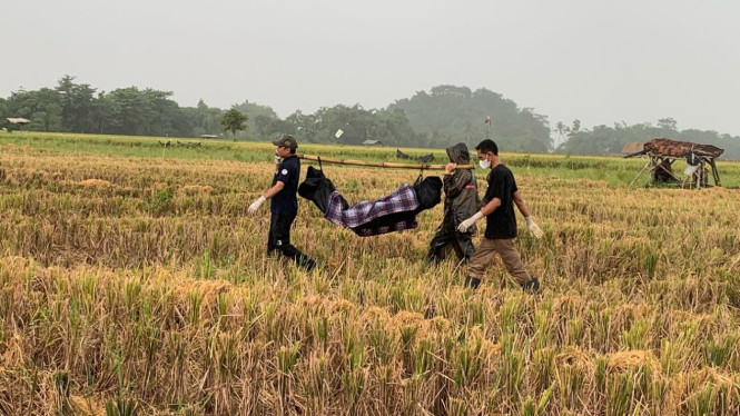 Lima Hari Hilang, Lansia di Jember Ditemukan Membusuk di Pinggir Sungai ...