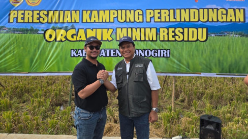 Panen Raya Demplot Pupuk Petroganik dan Peresmian Kampung Perlindungan ...