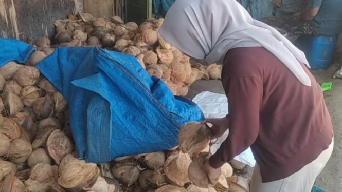 Harga Kelapa Parut di Kebumen Sentuh Rp35 Ribu per Kg